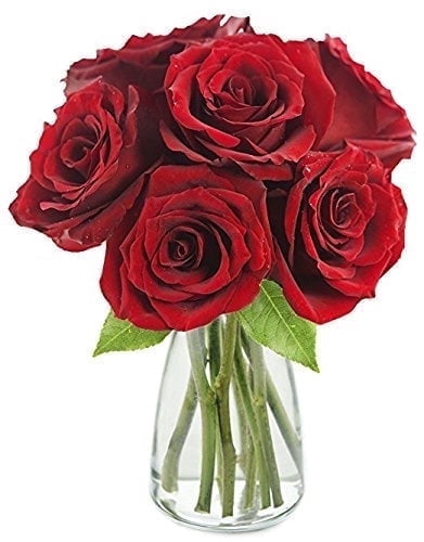 KaBloom :The Romantic Classic Red Rose Bouquet of 6 Red Roses (Farm ...