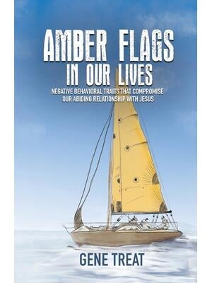 AMBER FLAGS IN OUR LIVES - Negative Behavioral Traits that Compromise ...