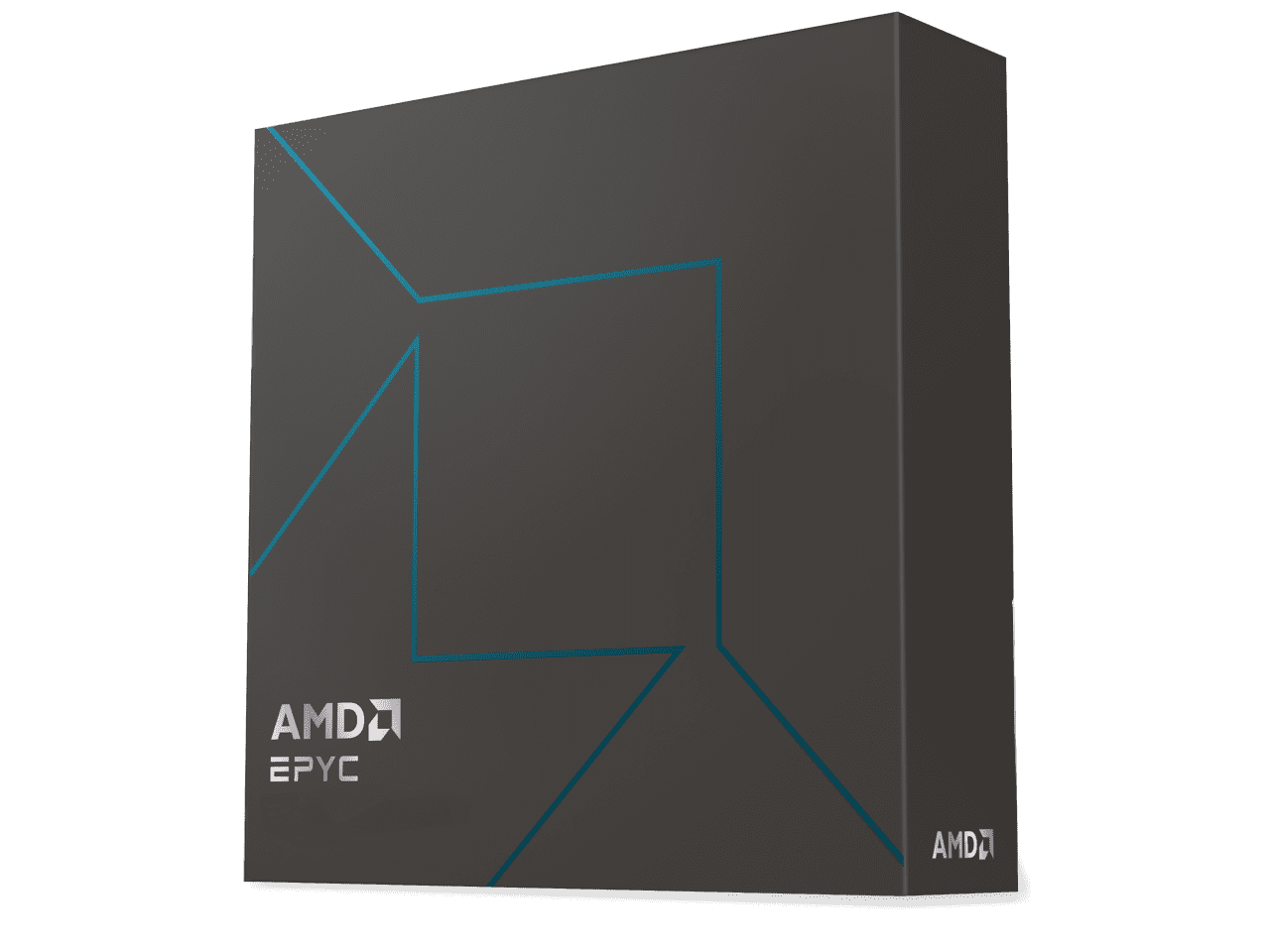 AMD EPYC 4005 4545P Hexadeca-core [16 Core] 3 GHz Processor - Box ...