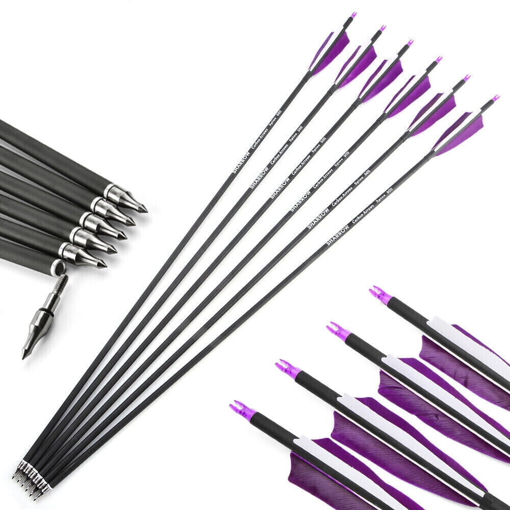 AME 30" Carbon Arrows SP500 Natural Feather Screw-In Points Archery Bow ...