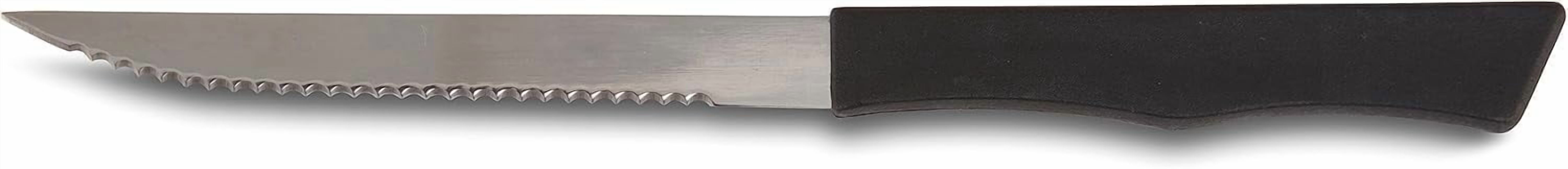 AME D’ESSENCE Set of 48 Stainless Steel Steak Knives - 4 1/4 Inch ...