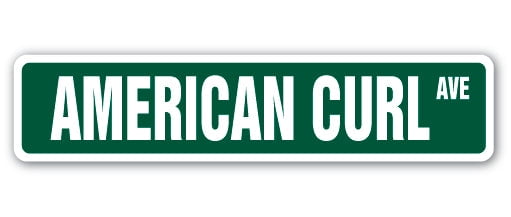 AMERICAN CURL Street Sign cat breed feline kitty kitten | Indoor ...