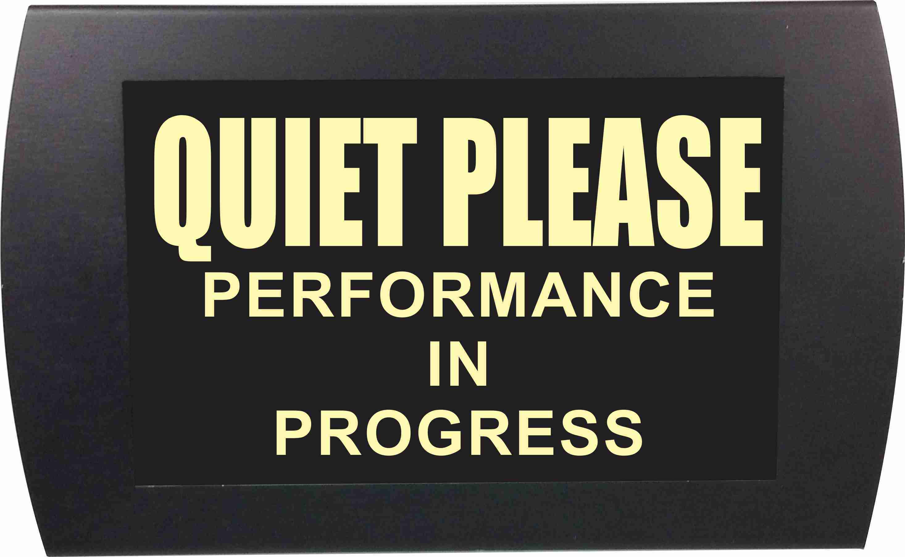 AMERICAN RECORDER - "QUIET PLEASE Performance in Progress" LED Lighted ...