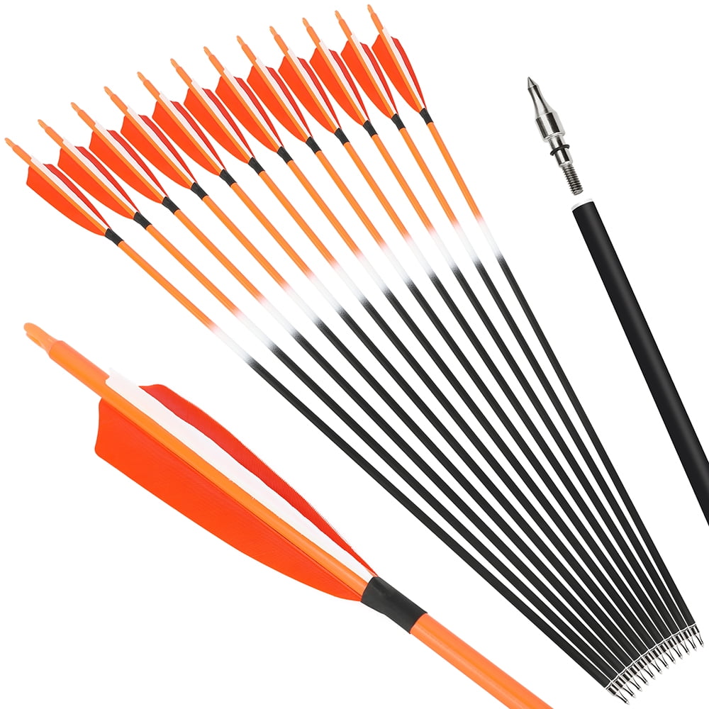 AMEYXGS Archery Feather Arrows 31 inch Feather Fletched Arrows Carbon ...