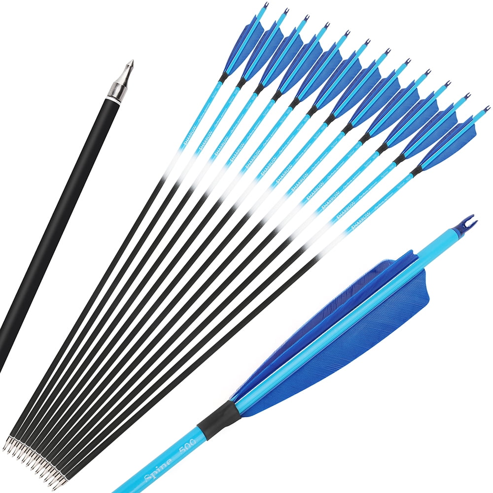 AMEYXGS Archery Feather Arrows 31 inch Feather Fletched Arrows Carbon ...