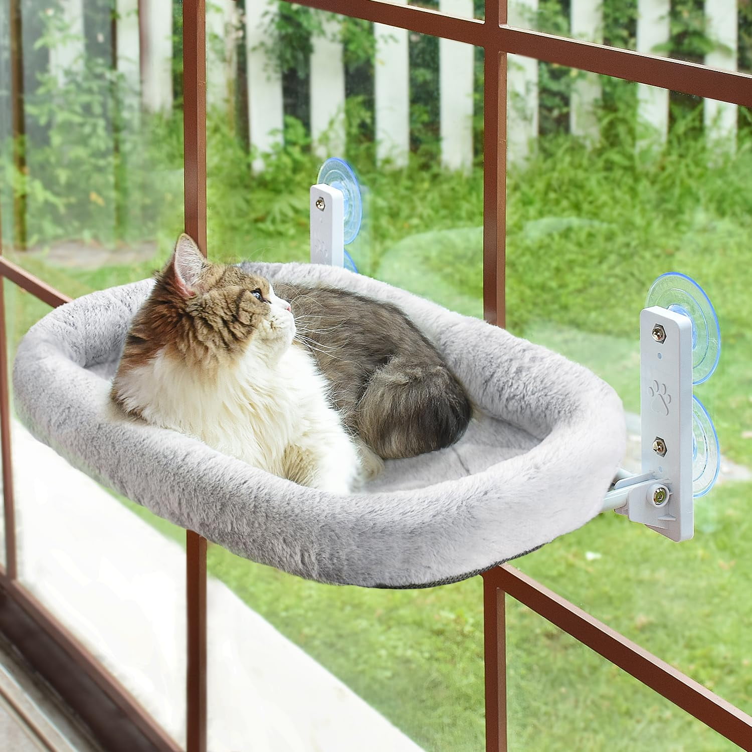 AMOSIJOY Cordless Cat Window Perch, Cat Hammock for Wall with 4 Strong Suction Cups, Solid Metal ...