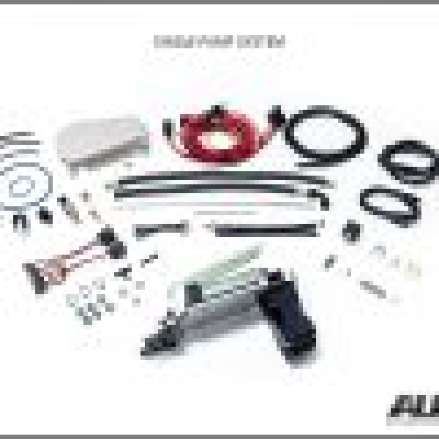 AMS Performance Omega Fuel System for 2009+ Nissan R35 GT-R * Single ...