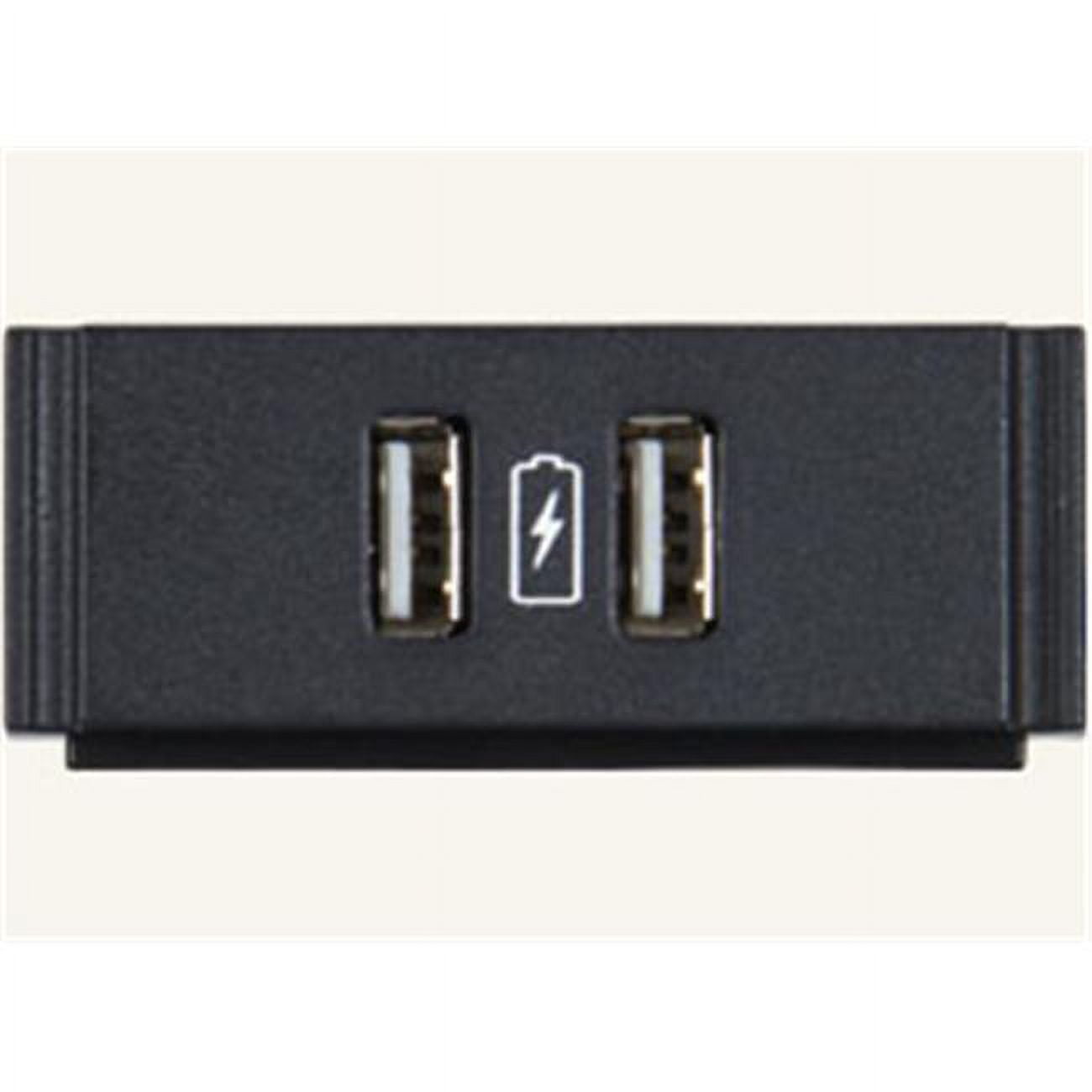 AMX FG553-13 Dual USB Power Module with Printed Charging Symbol ...