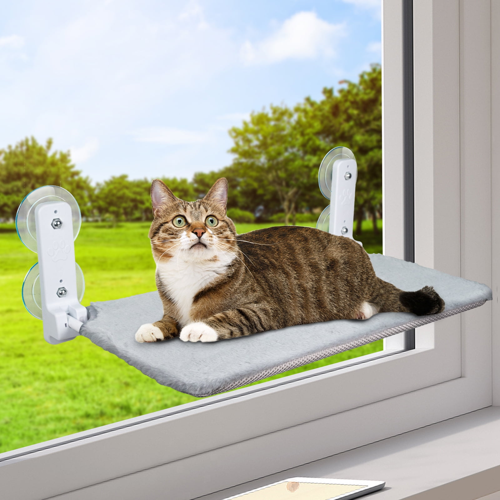 AMZOO Cordless Cat Window Perch and Hammock for Wall with 4 Suction ...