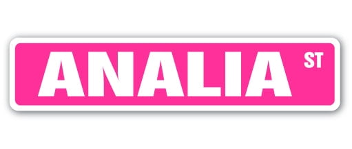 ANALIA Street Sign Childrens Name Room Sign | Indoor/Outdoor | 30" Wide ...
