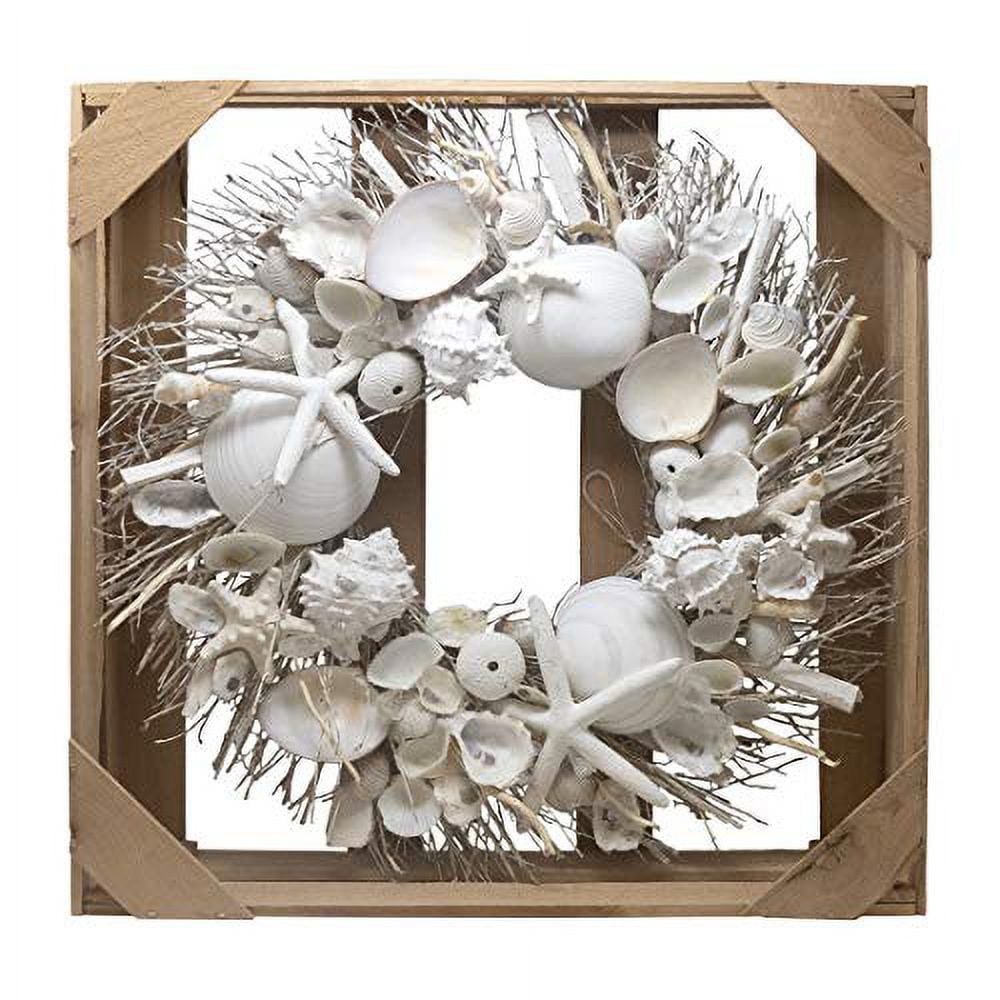 ANDALUCA Summer Seashell 20in Coastal Wreath Natural Abalone, Sand ...