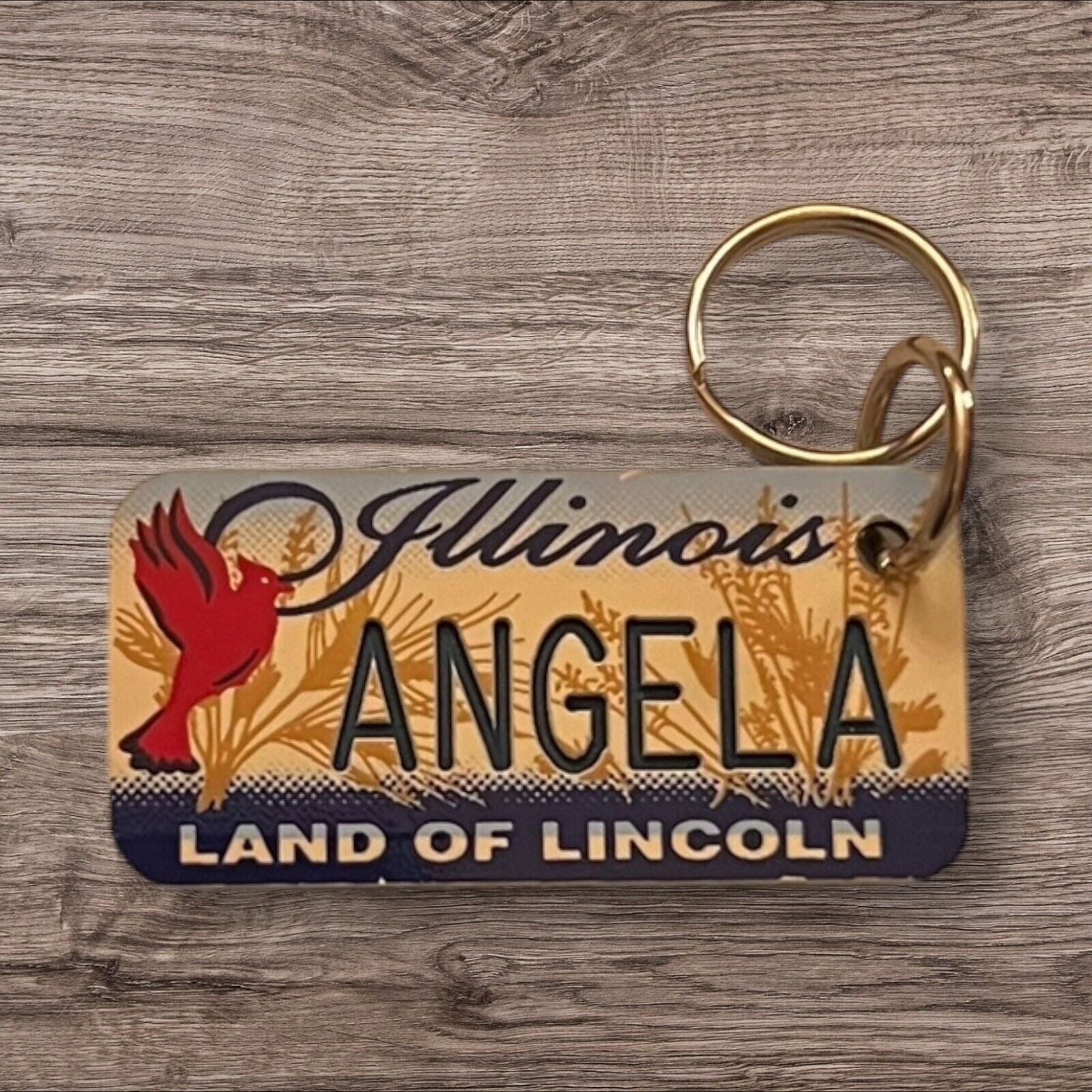 ANGELA - Name Keychain License Plate Illinois Land of Lincoln Great ...