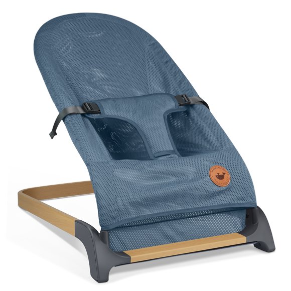 Twin Bouncer Seat