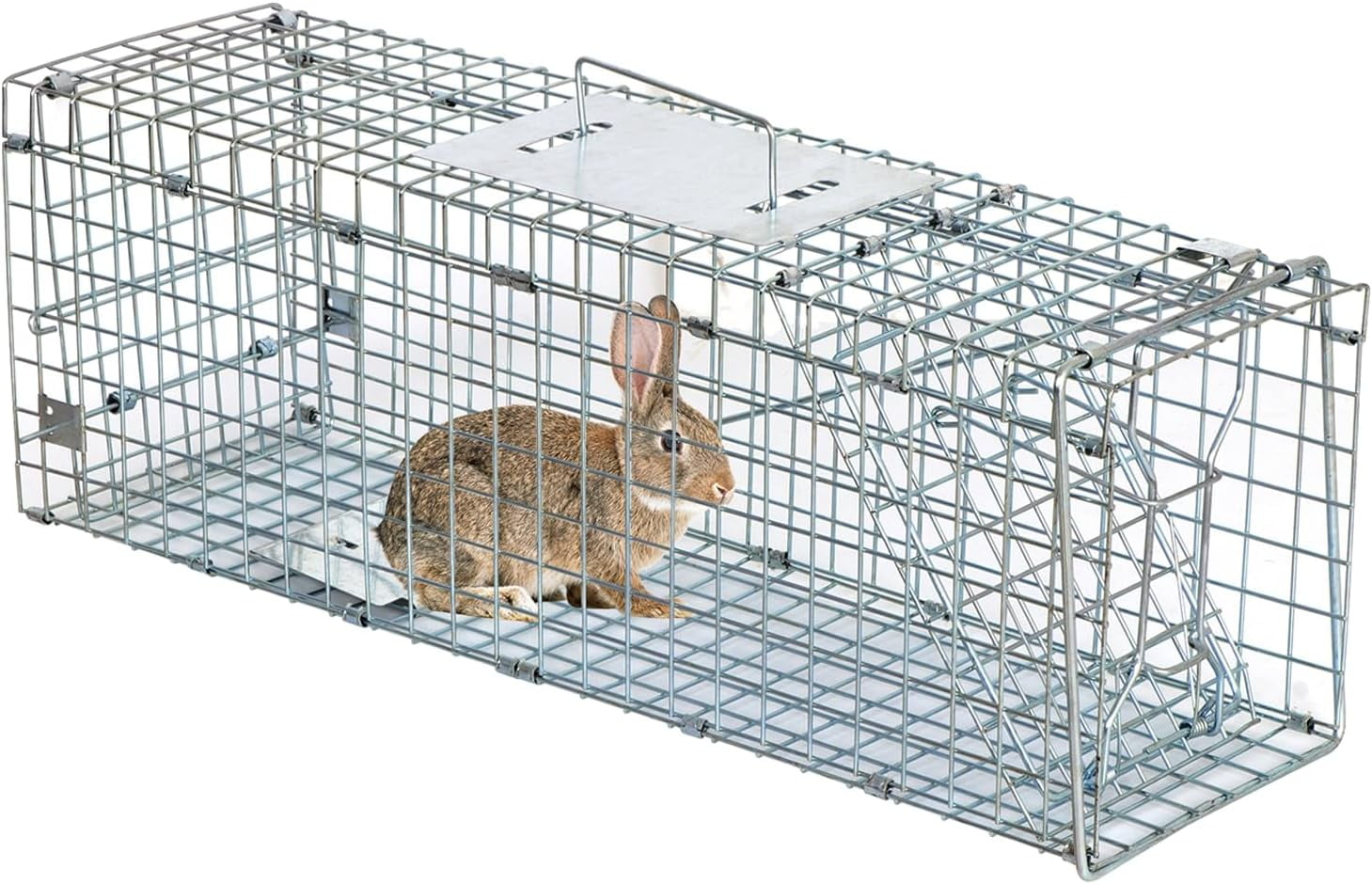 ANHXN Small Live Animal Trap Steel Cage Catch and Release One Door ...