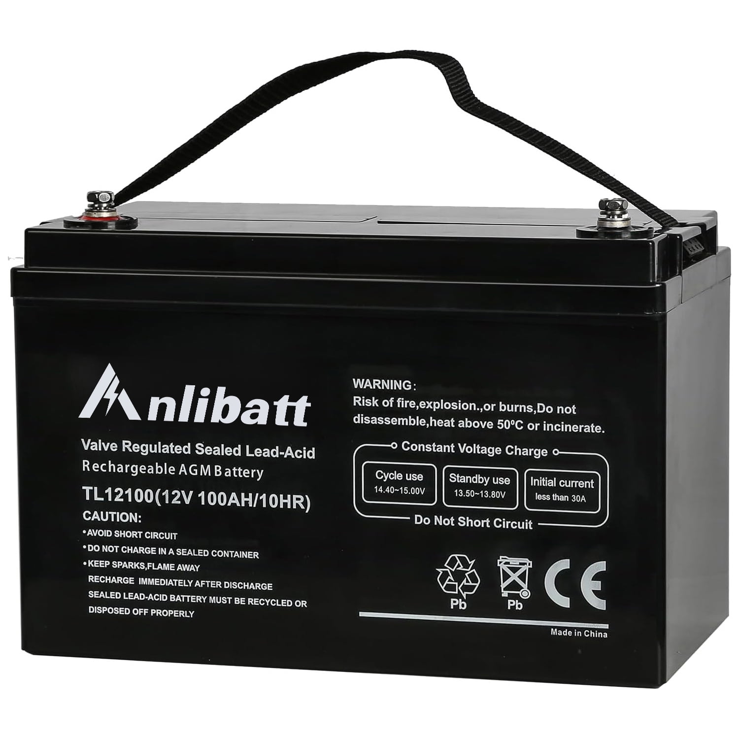 ANLIBATT Sealed Lead Acid 12V 100Ah AGM Battery Deep Cycle with 1150A ...