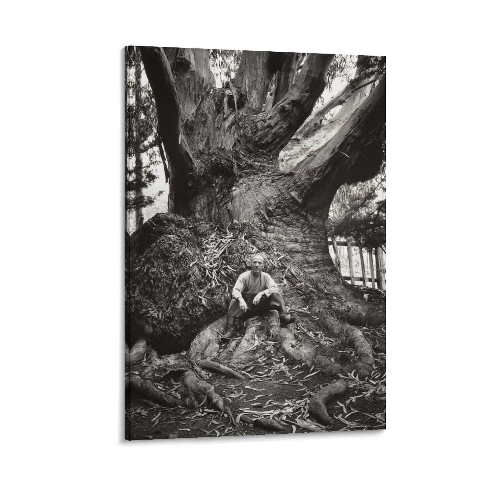 ANSEL ADAMS Edward Weston Canvas Art Poster and Wall Art Picture Print ...