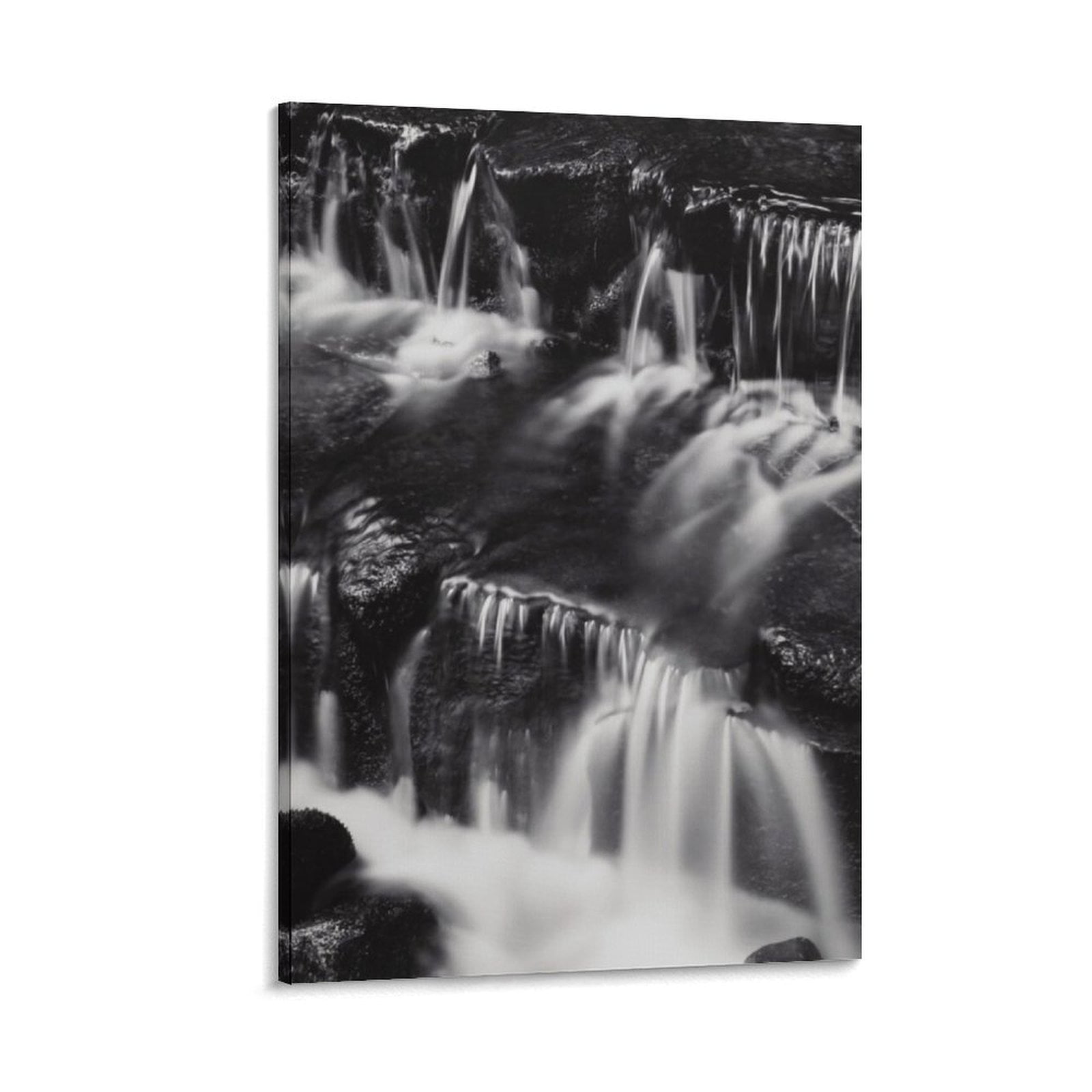 ANSEL ADAMS Fern Spring Art Poster Canvas Painting Decor Wall Print ...