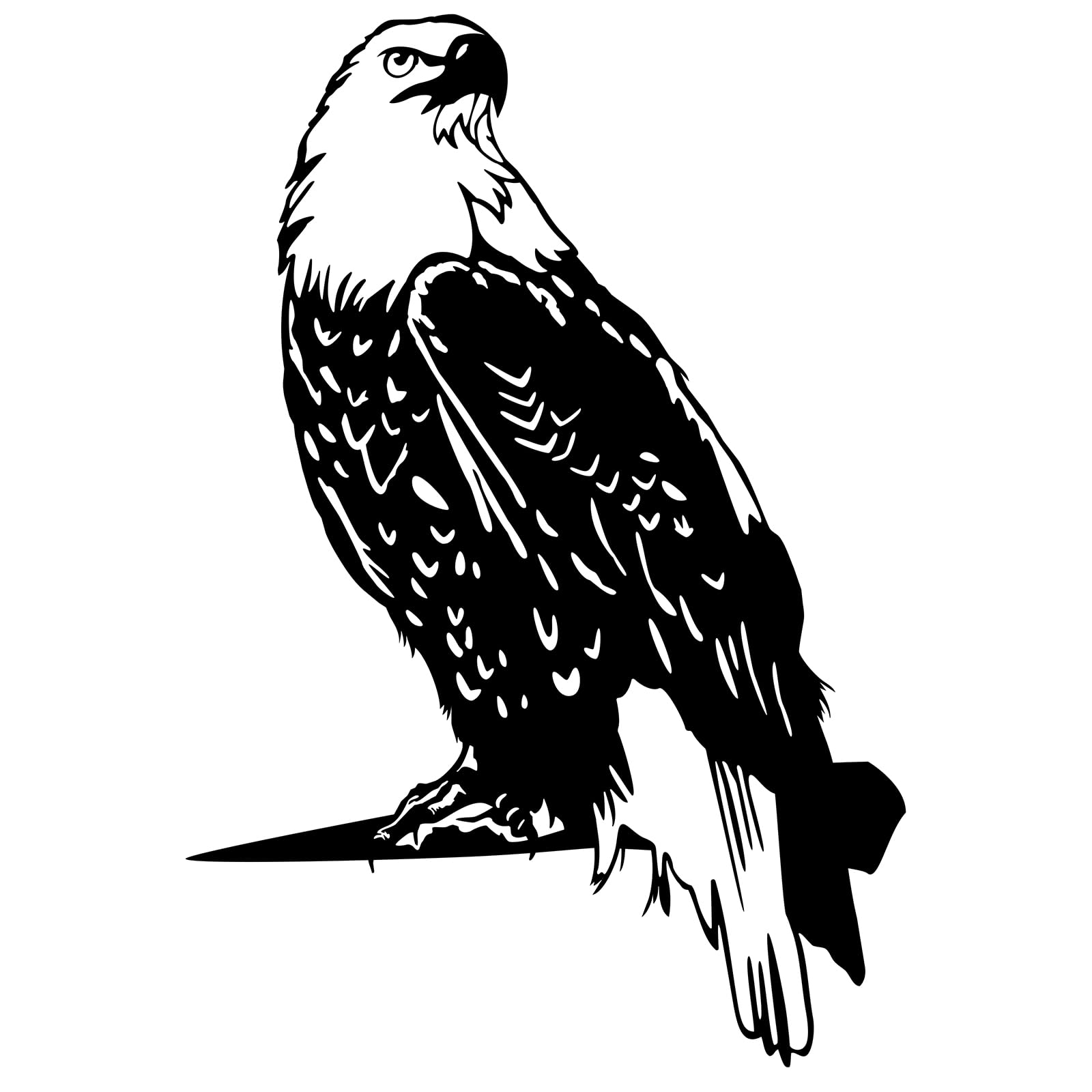 ANSTEEP Metal Bird Garden Art - 2.6 mm Thick Steel The Bald Eagle Yard ...