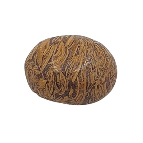 ANUJ SALES 8.25 Ratti 7.25 Carat Mahe Mariyam Original Stone | Natural Jasper Gemstone | Sang e ...