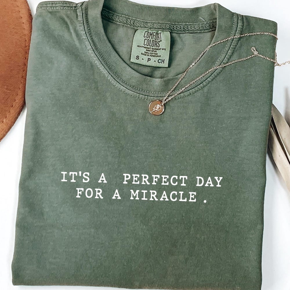 ANUNSHIRT Ivf Mom And Dad Gift Shirts, Transfer Day It'S A Perfect Day ...