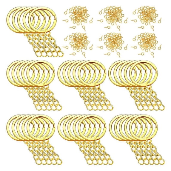 ANXPTIME 250Pieces Metal Keychains Keyrings with Chain and Jump Rings ...