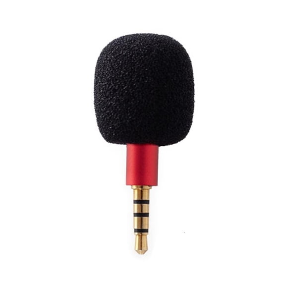 ANXPTIME Portable Small Microphone Mini Plug In Megaphone for Phone PC ...
