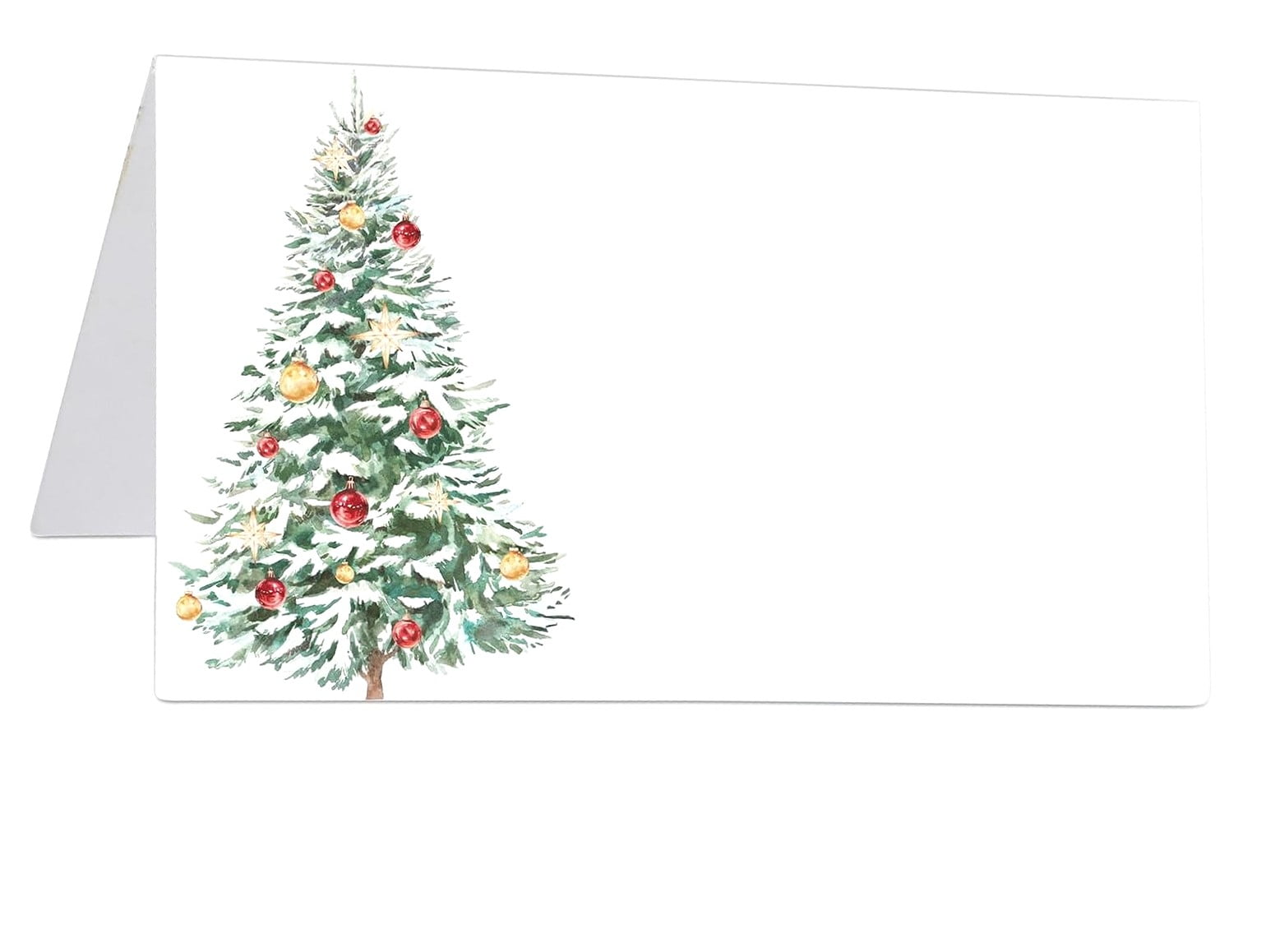ANYWAY.GO 100 Pieces Christmas Place for Table, Holiday Name Tags with ...