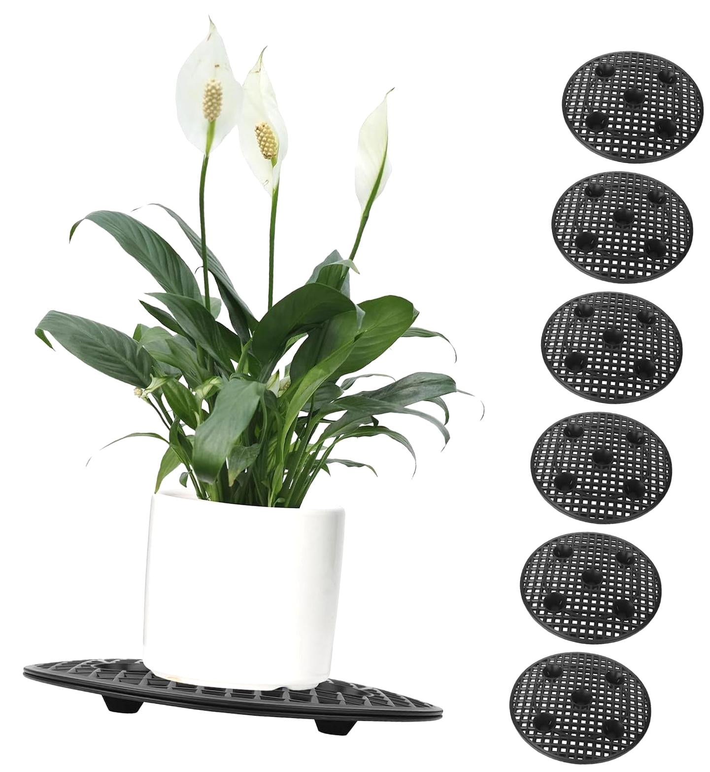 ANYWAY.GO 12 Inch Plant Saucer with Mesh Design Plant Stands and Indoor ...