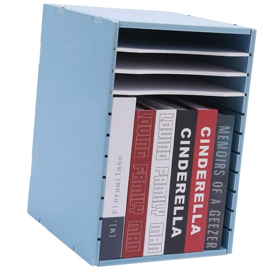 ANYWAY.GO 12-Slot Paper Organizer, 10mm Thick Frame Literature Sorter ...