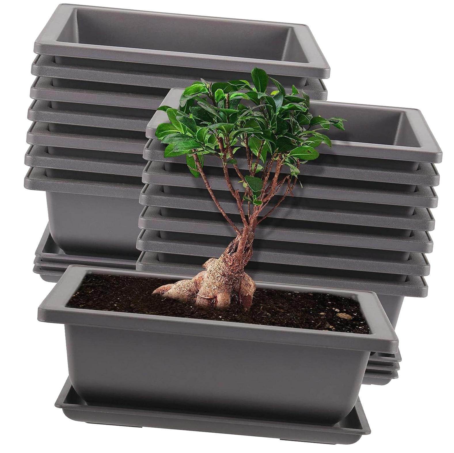 ANYWAY.GO 15 Pack 8.8 x 6.5 Inches Rectangular Bonsai Tree Pots with 15 ...