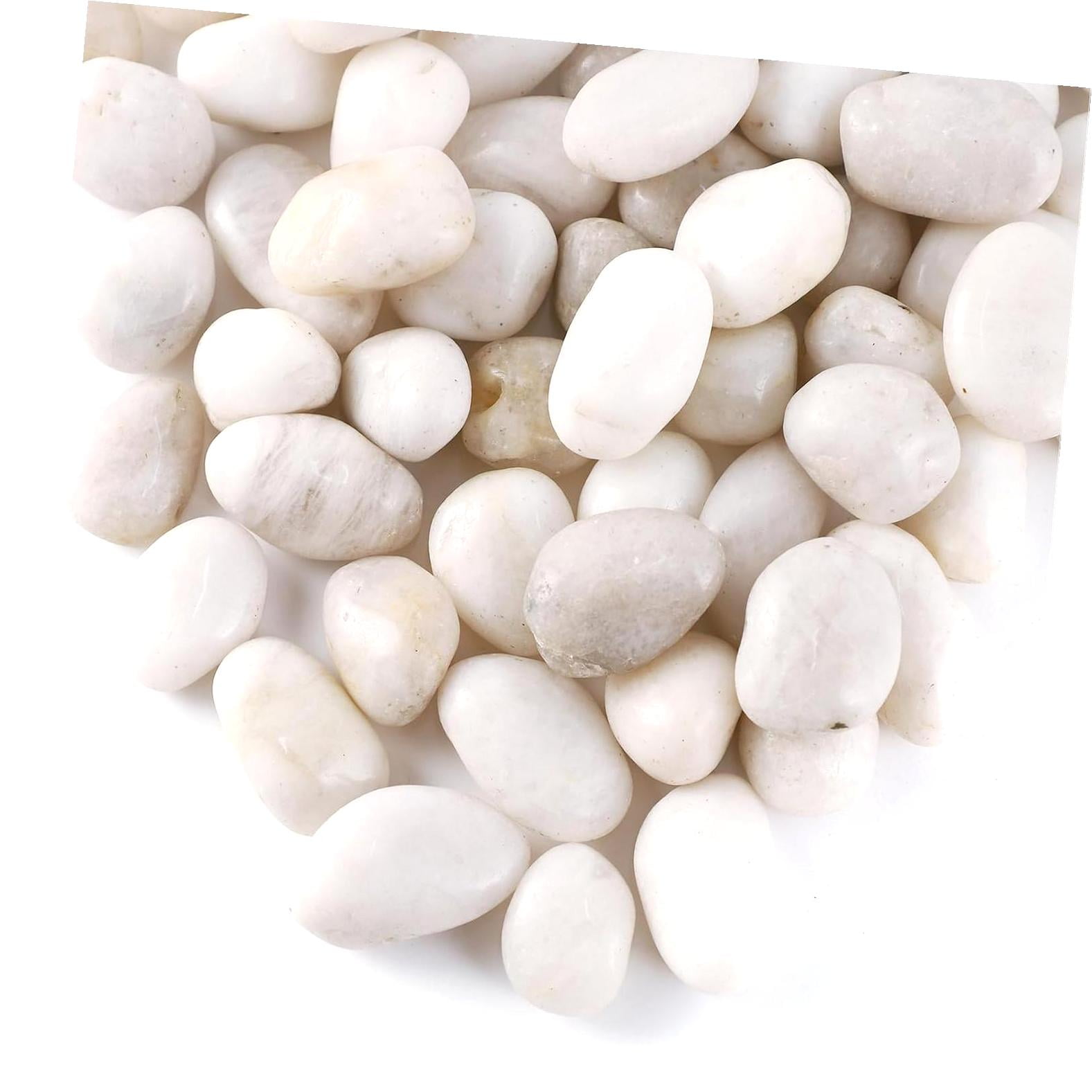 ANYWAY.GO 20 Pound River Pebbles Polished Gravel for White Plant Stones ...