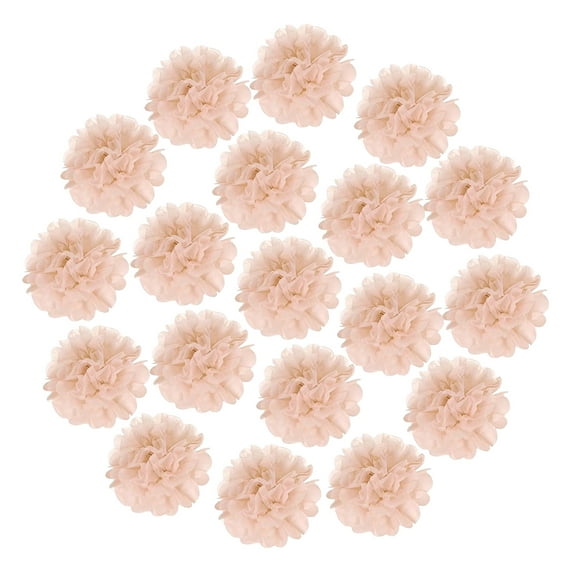 ANYWAY.GO 20Pcs Tissue Paper Pom Poms, 10 Inch Large Paper Wall ...