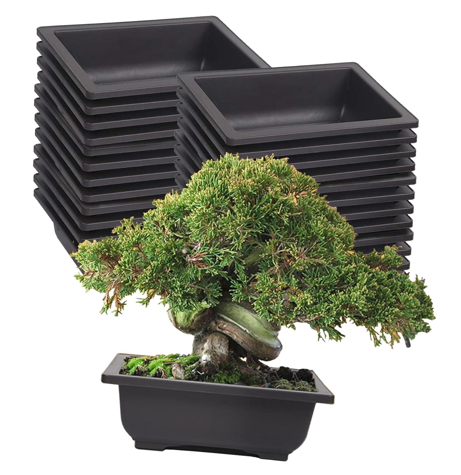ANYWAY.GO 25 PCS 6.5 Inch Plastic Bonsai Training Pots, Rectangular ...