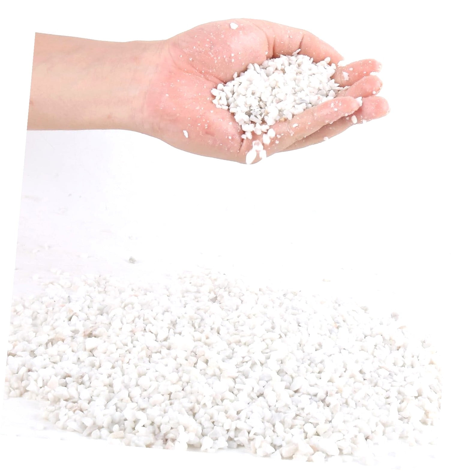 ANYWAY.GO 3lb White Cactus Pea Gravel Stones, 1/4 Inch Pebbles for ...
