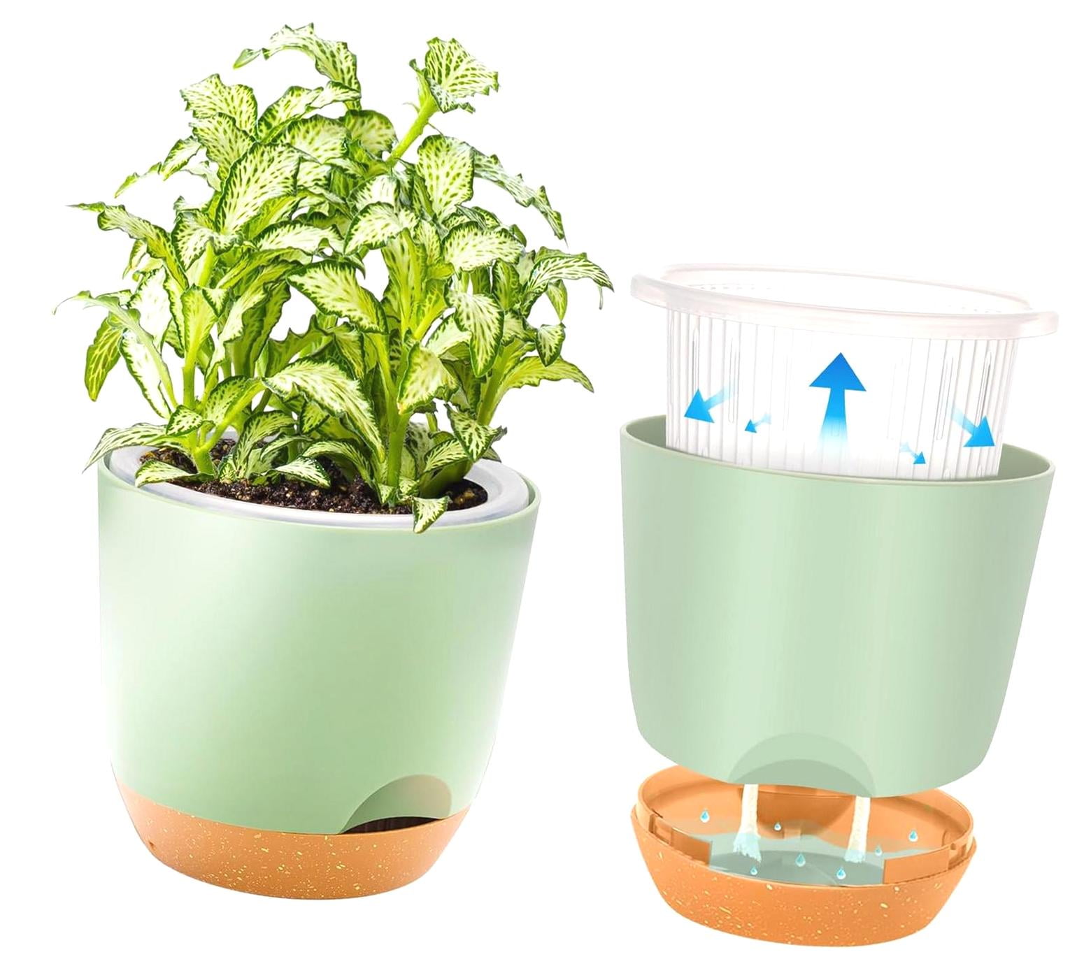 ANYWAY.GO 5.8 Inch Self-Watering Plant Containers for Houseplants ...