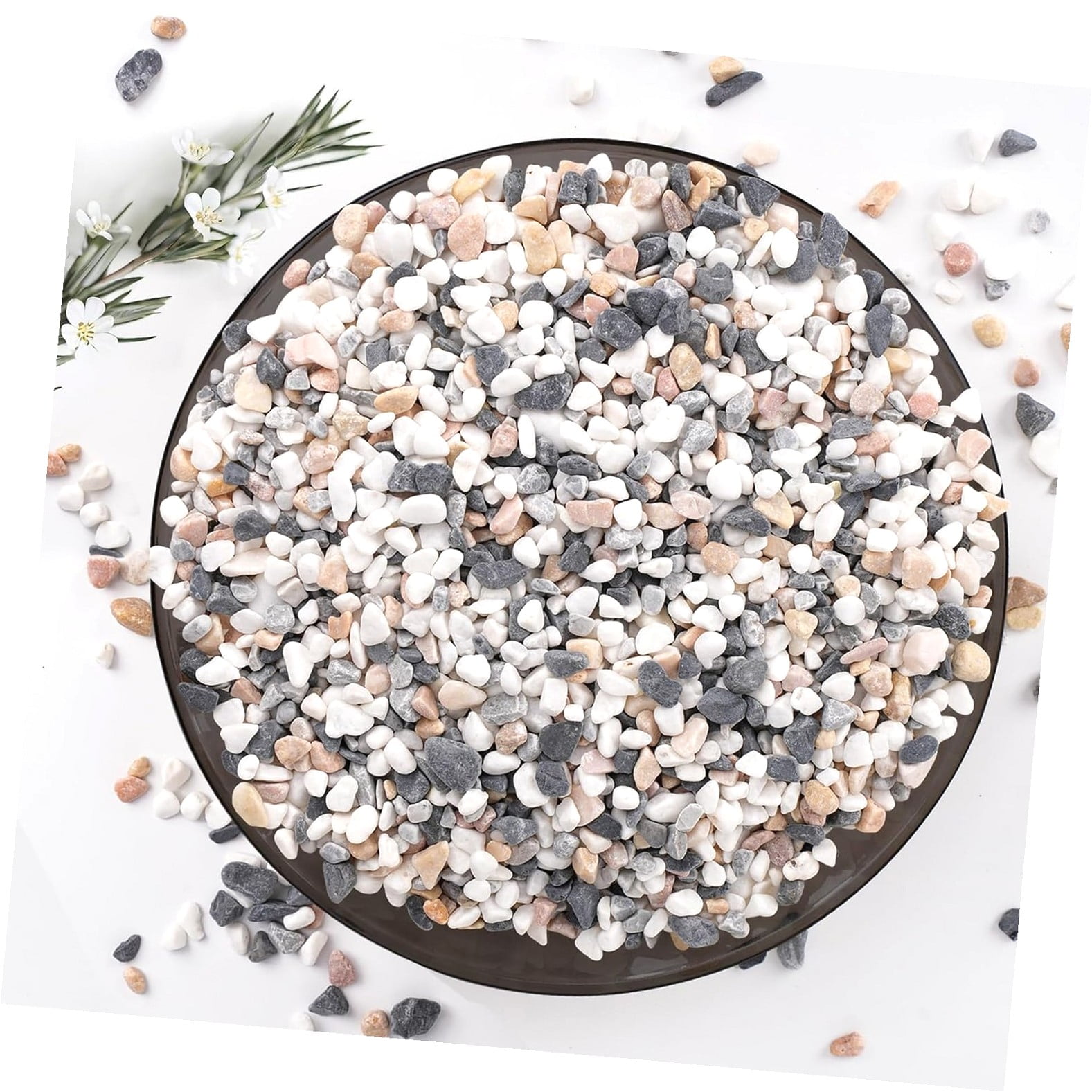 ANYWAY.GO 5 lbs Small Rocks for , 1/5 Inch Pebbles for Indoor Gardens ...