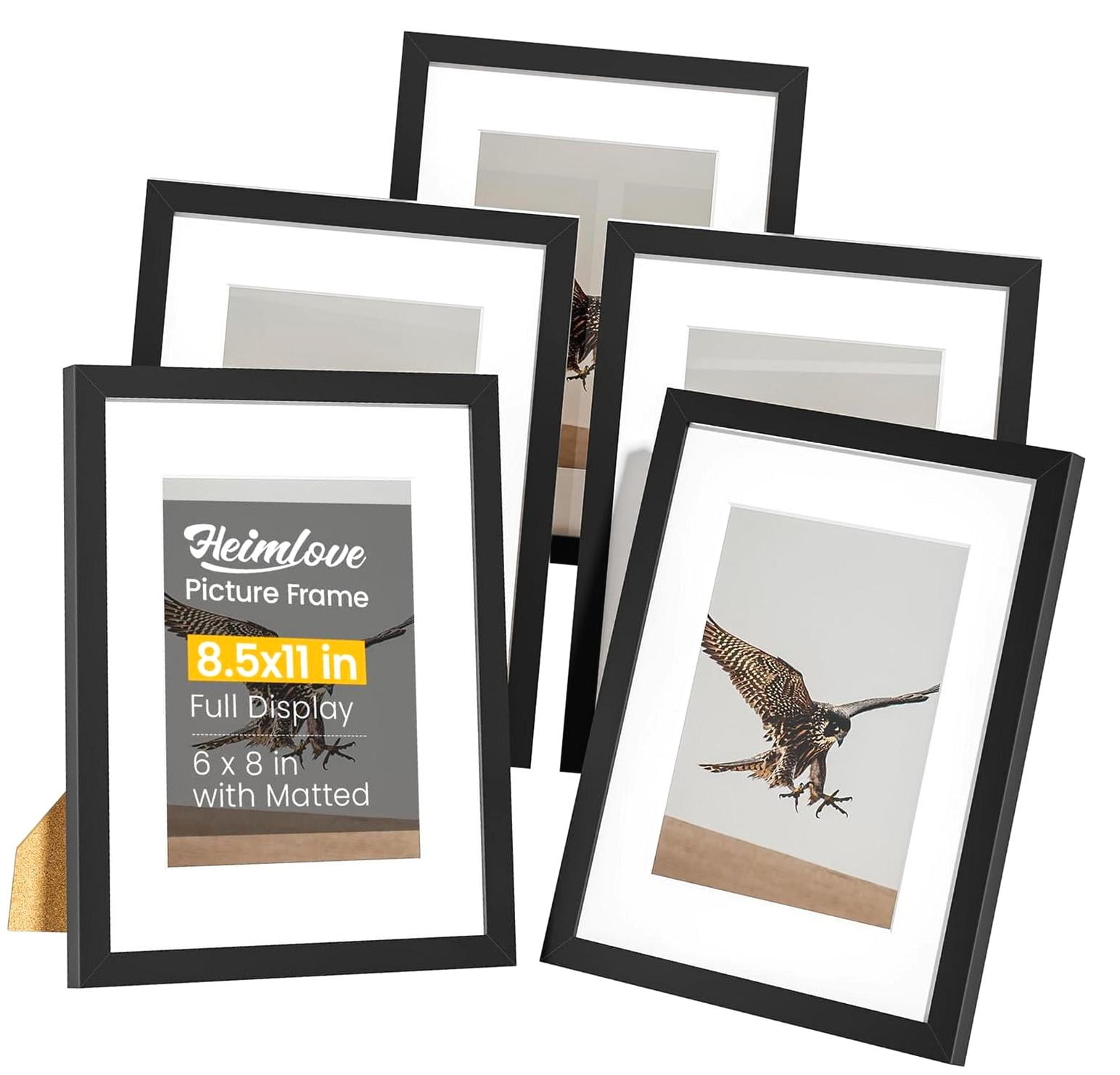8 5 X 11 Frame With Matte