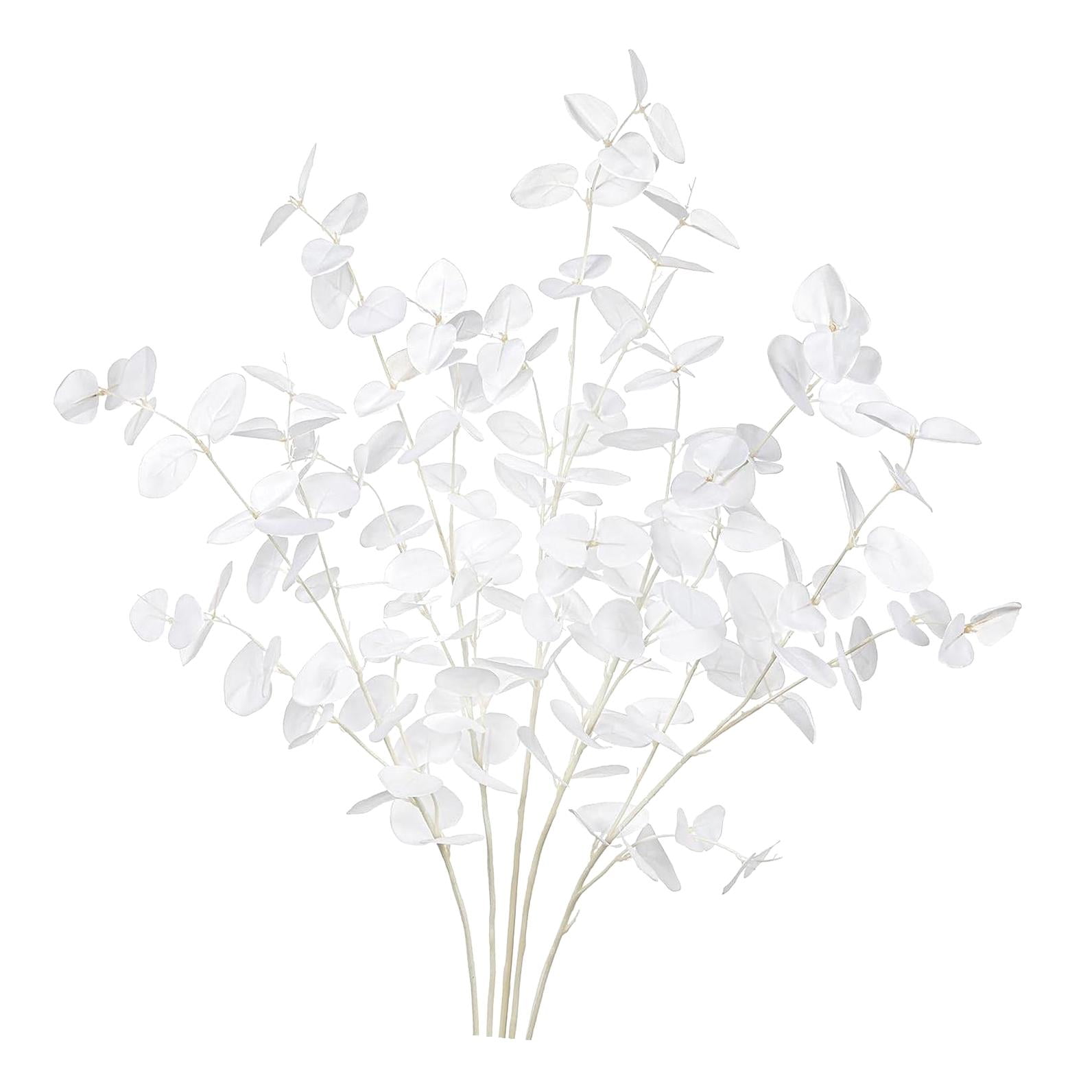 ANYWAY.GO Artificial White Eucalyptus 5 Pieces Fake Eucalyptus Leaves ...