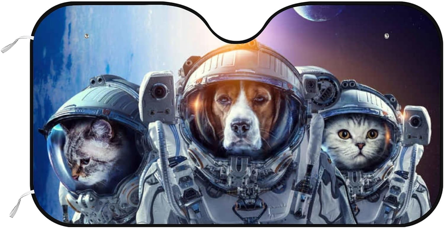 ANYWAY.GO Front Windshield Sun Shade Cute Hand Drawn Folding Sun Shield ...