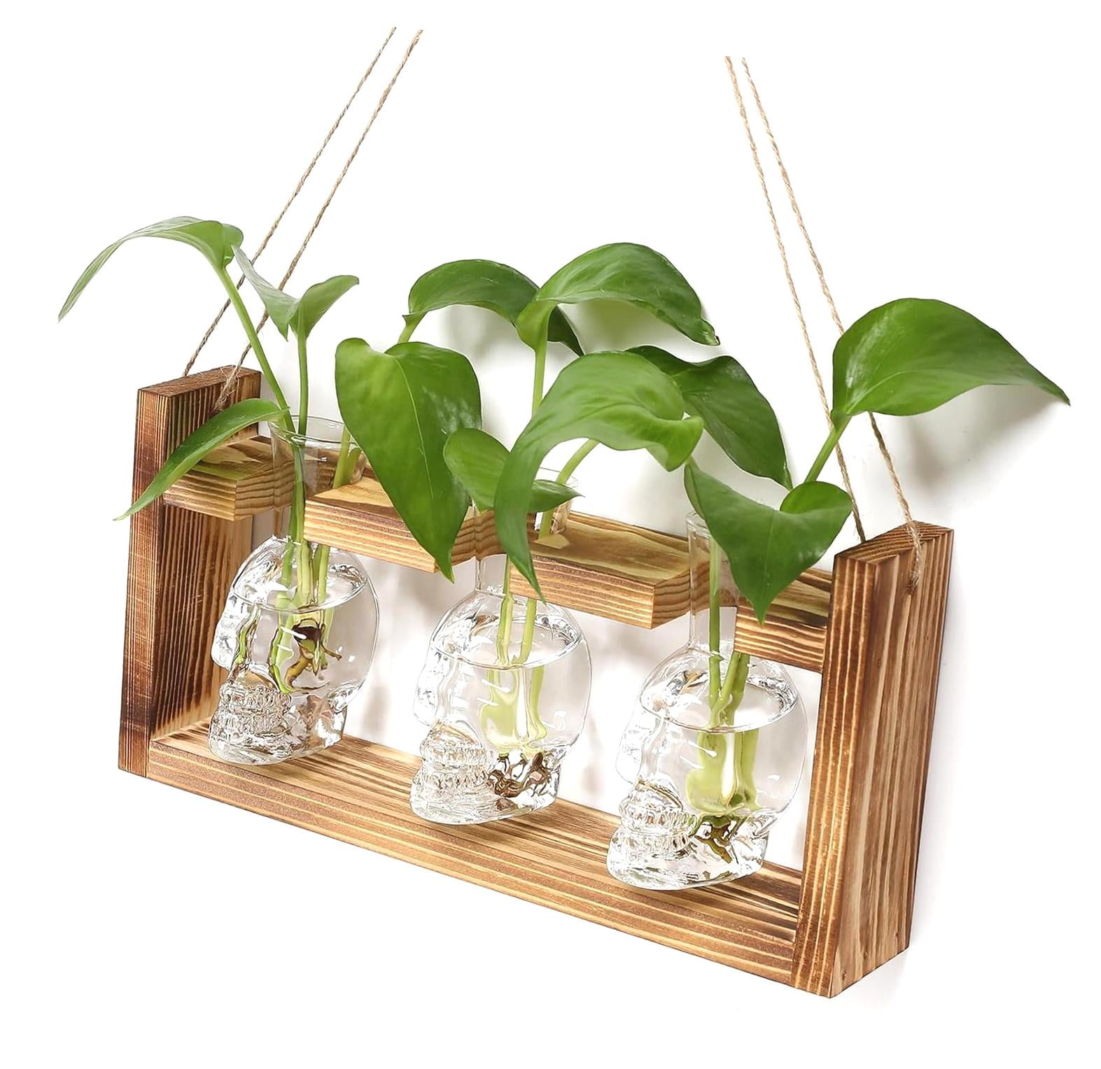 ANYWAY.GO Plant Terrarium Propagation Stations Hydroponics Planter Vase ...