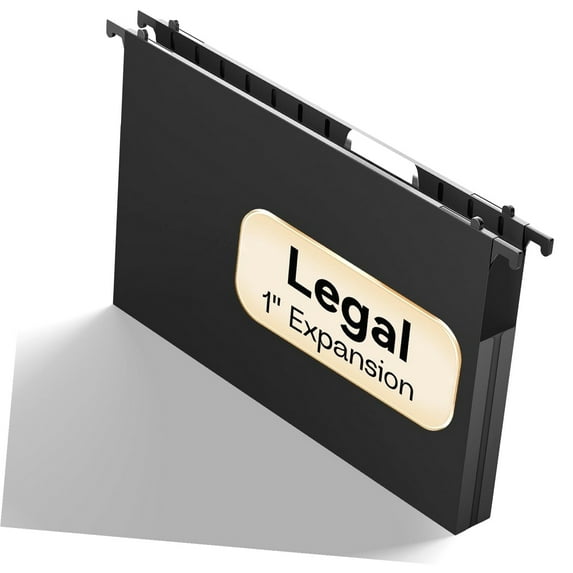 ANYWAY.GO Plastic Extra Size Hanging File Folders,12 Pack Reinforced ...