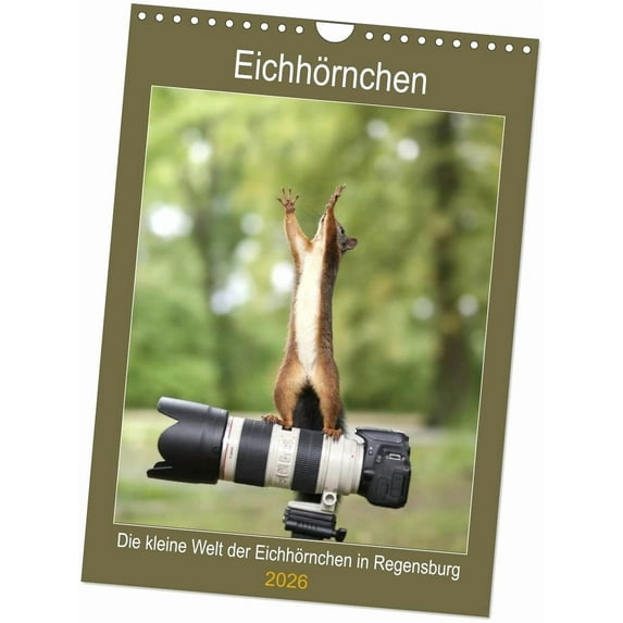 ANYWAY.GO The Small of Squirrels in Regensburg, US-Version (Wall ...