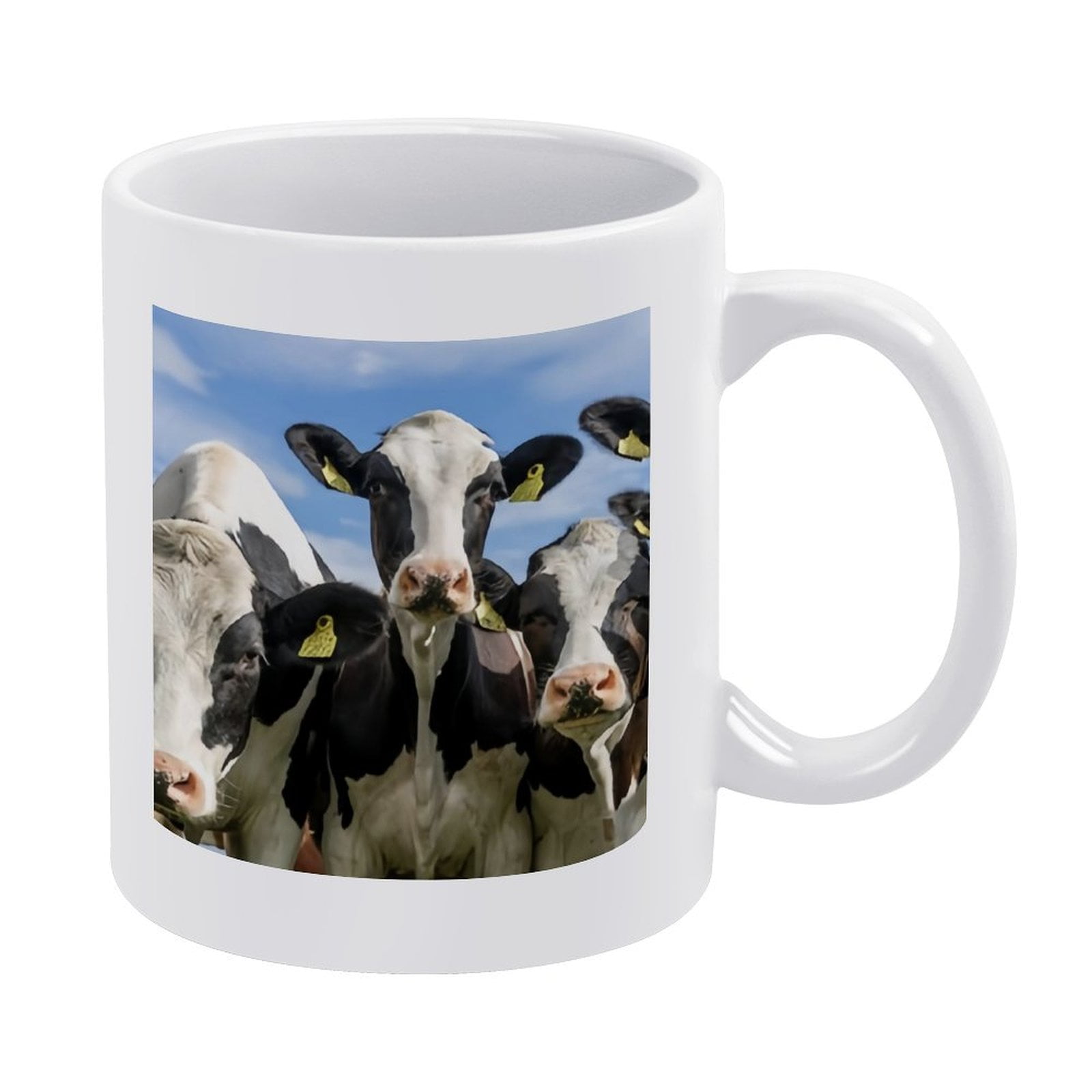ANYWAY.GO White Ceramic Coffee Mugs for Hot or Cold Drinks ,Holstein ...