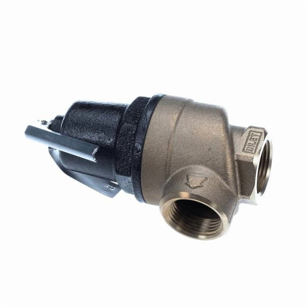 AO Smith Water Heater 100111922 Genuine OEM Relief Valve - 1 in., 50 ...