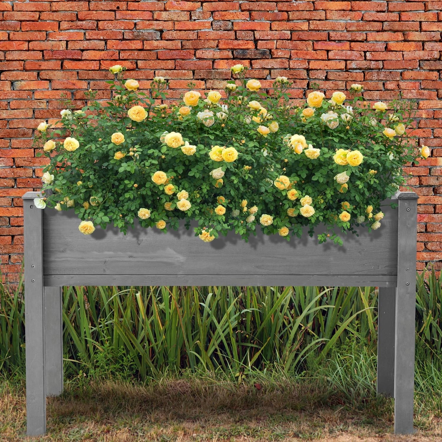 AOCOROE 48x24x30 Raised Garden Bed with Legs, Elevated Wooden Planter ...
