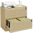 AODAILIHB File Storage Cabinet, Under Desk 2-Drawer File Cabinet ...