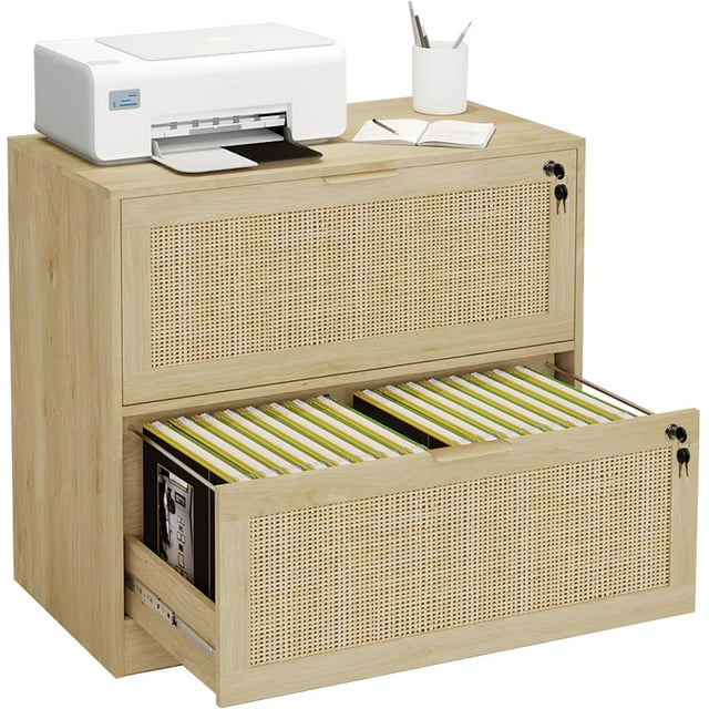 AODAILIHB File Storage Cabinet, Under Desk 2-Drawer File Cabinet ...
