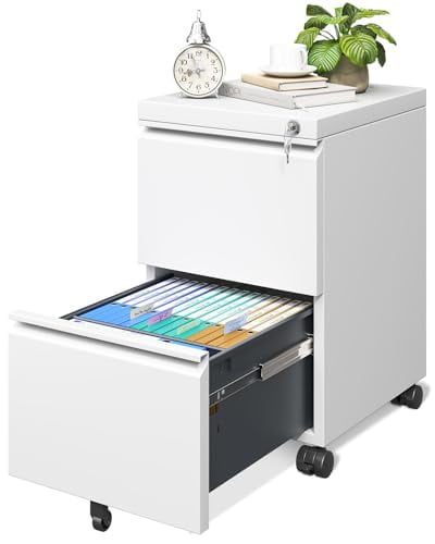 AODK File Cabinet for Home Office, Fully Assembled Filing Cabinet 2 ...