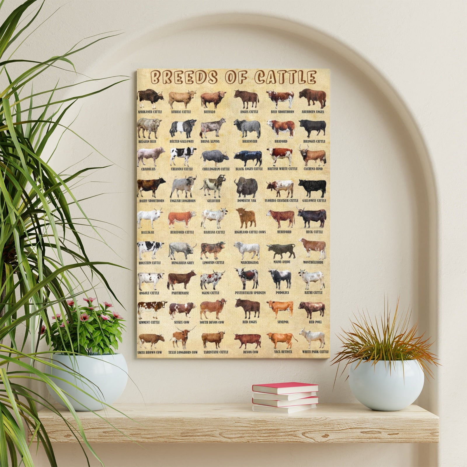 AOEX Breeds of Cattle Canvas Farmhouse Wall Art - Highland Cow, Texas ...
