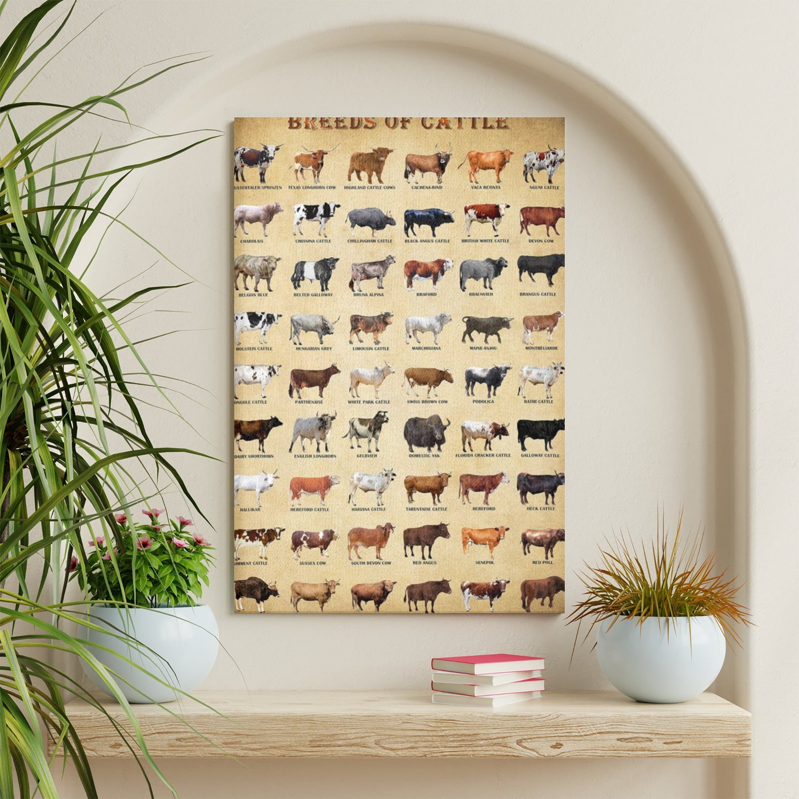 AOEX Breeds of Cattle Poster,Common Breeds of Beef and Dairy Cows, Animal Poster Farmhouse Wall ...